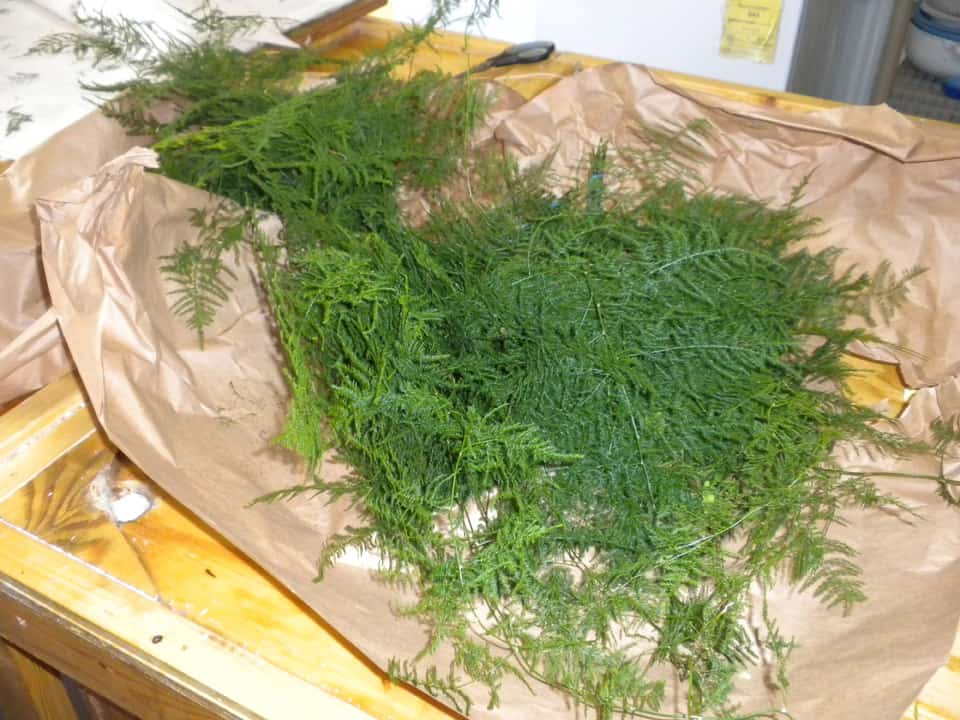 Specialized Paper Products | Custom Paper Products