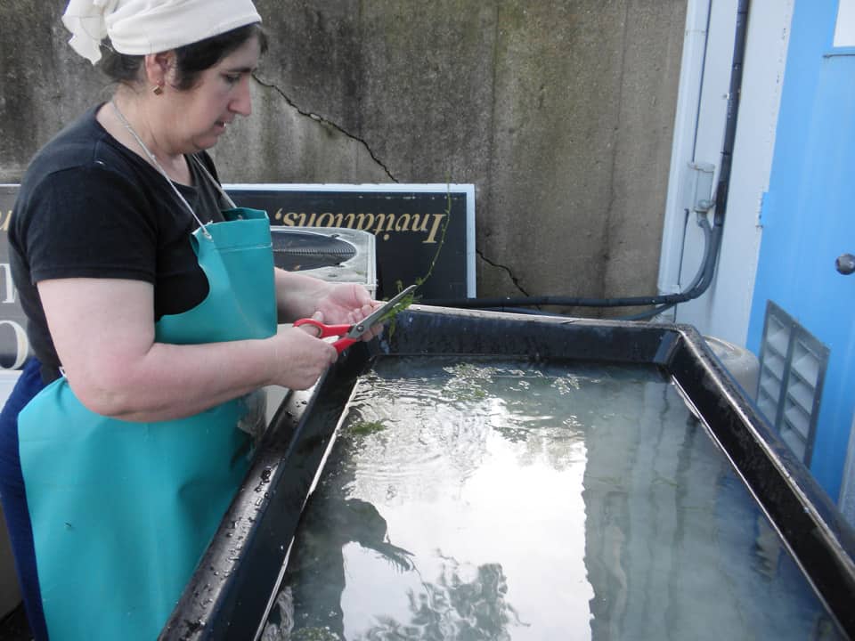 Specialized Paper Products | Custom Paper Products