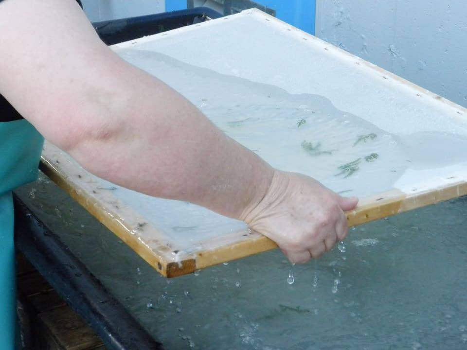 Specialized Paper Products | Custom Paper Products