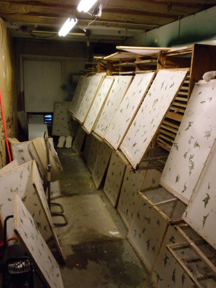 Specialized Paper Products | Custom Paper Products