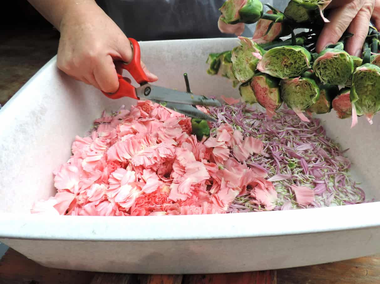 Floral Expressions - Cast Paper Art