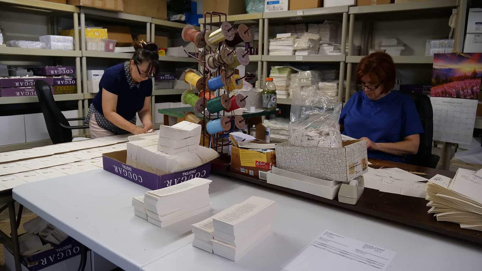 About - Cast Paper Art